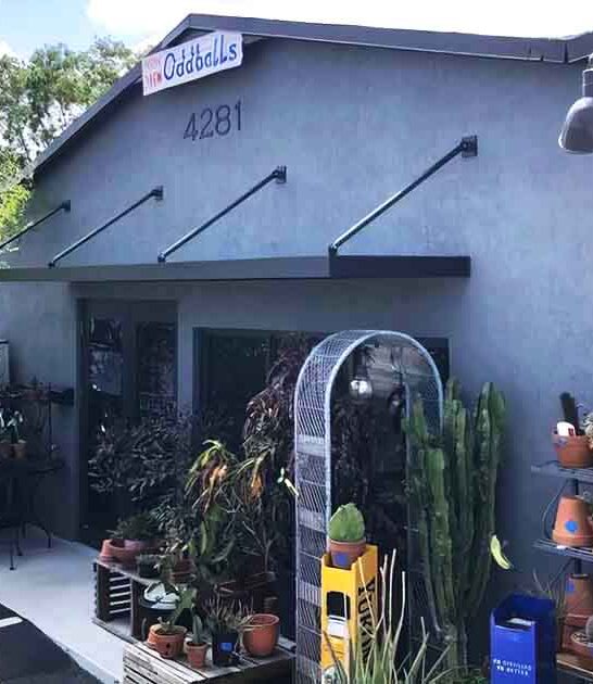 quirky thrift store florida ftr