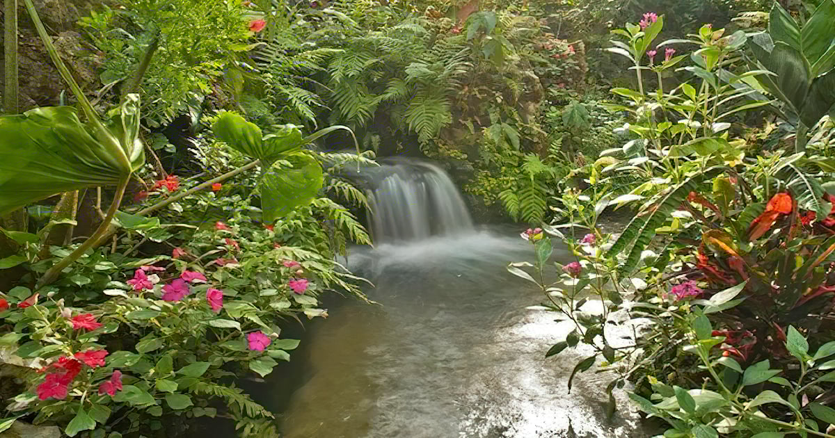 rainforest exhibit florida ftr