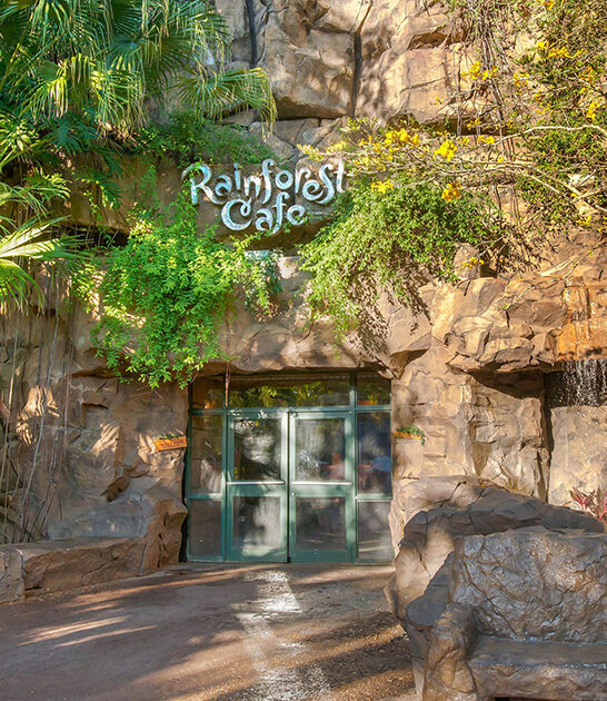 rainforest themed cafe florida ftr