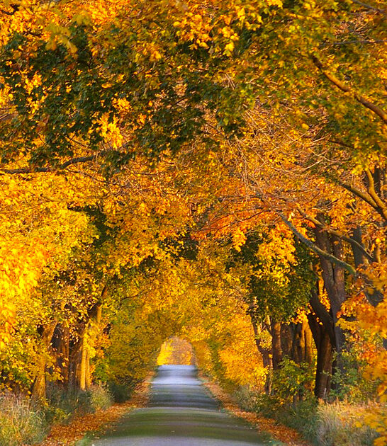 scenic drive michigan ftr