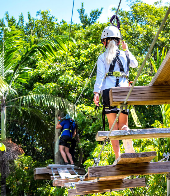 scenic treetop trek florida ftr