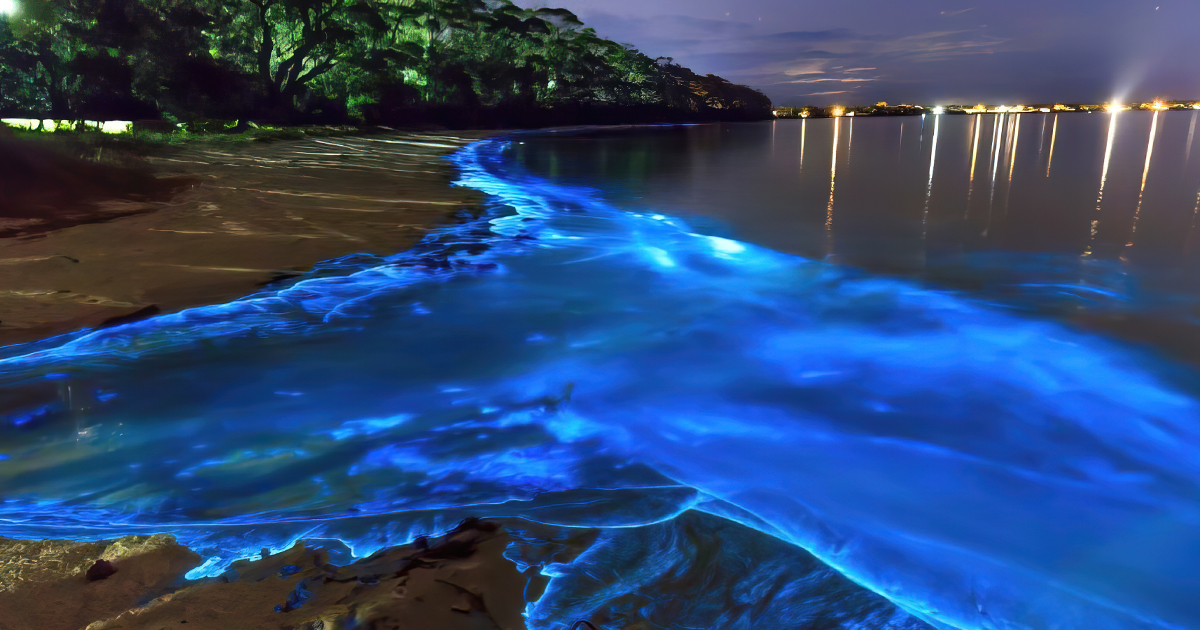 secret wildlife refuge florida ftr