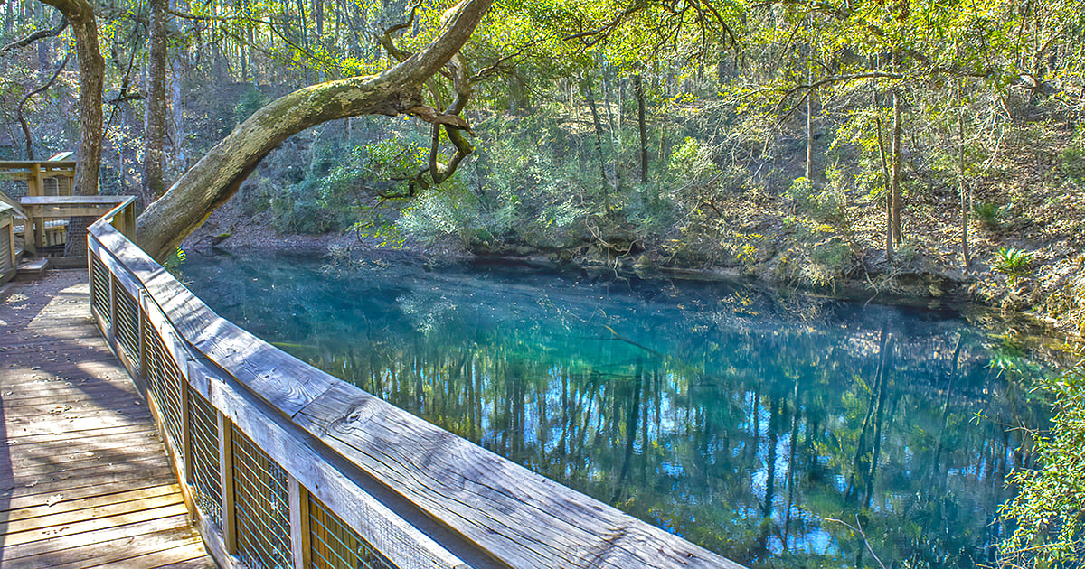 sinkhole cave hike florida ftr