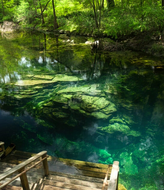 spring secret cave florida ftr