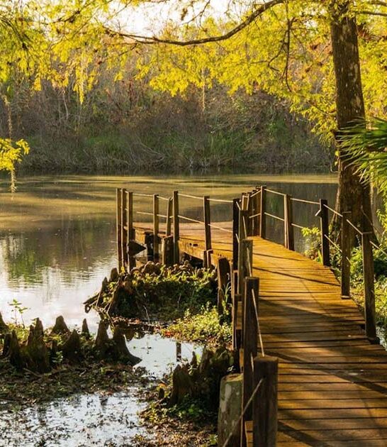 state park drive florida ftr