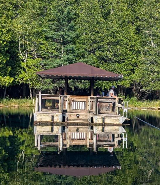 state park spring michigan ftr