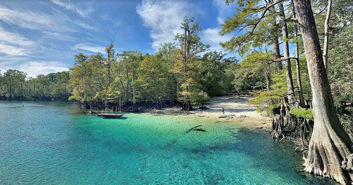 stunning natural spring florida ftr