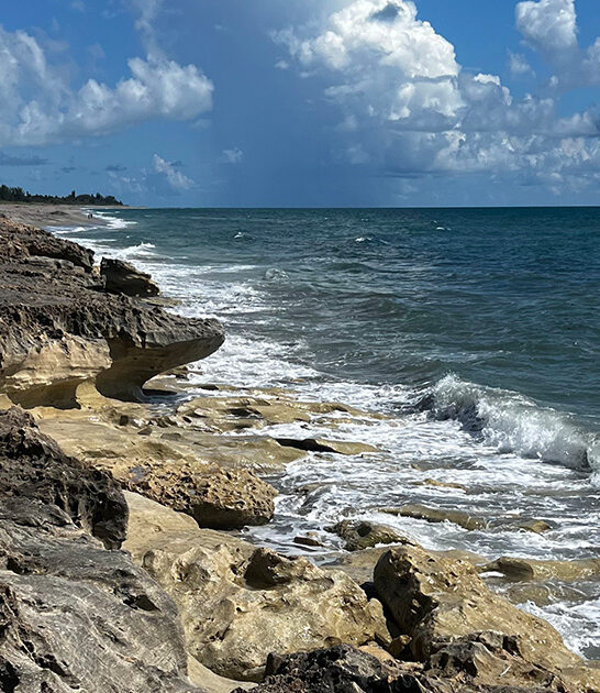 stunning rocky shoreline florida ftr