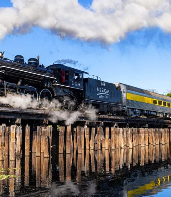 sugar train florida ftr