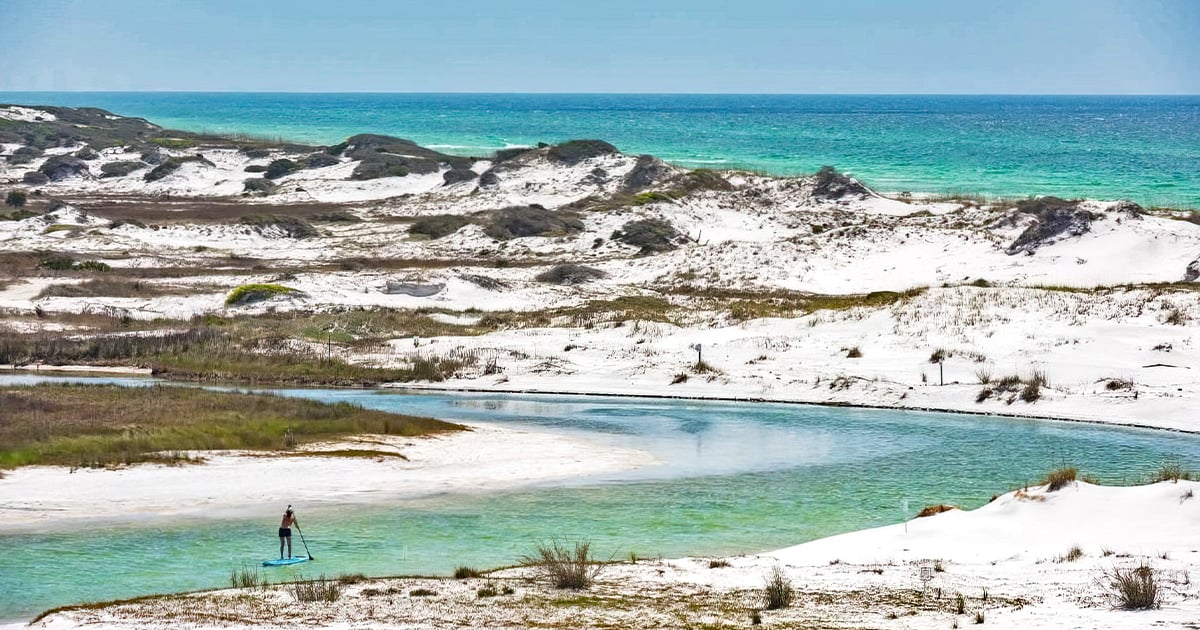 surreal state parks florida ftr