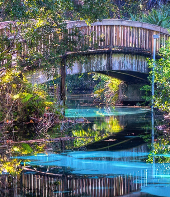 surreal-stunning-spring-florida-ftr