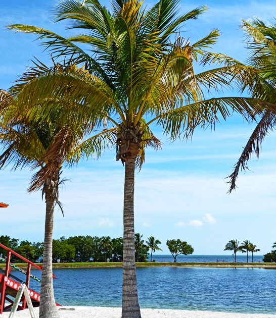 tiny beach park florida ftr