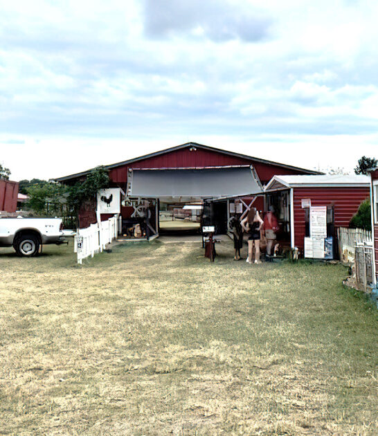 tiny petting zoo florida ftr