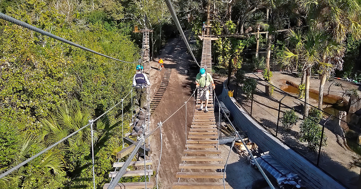 treetop adventure florida ftr