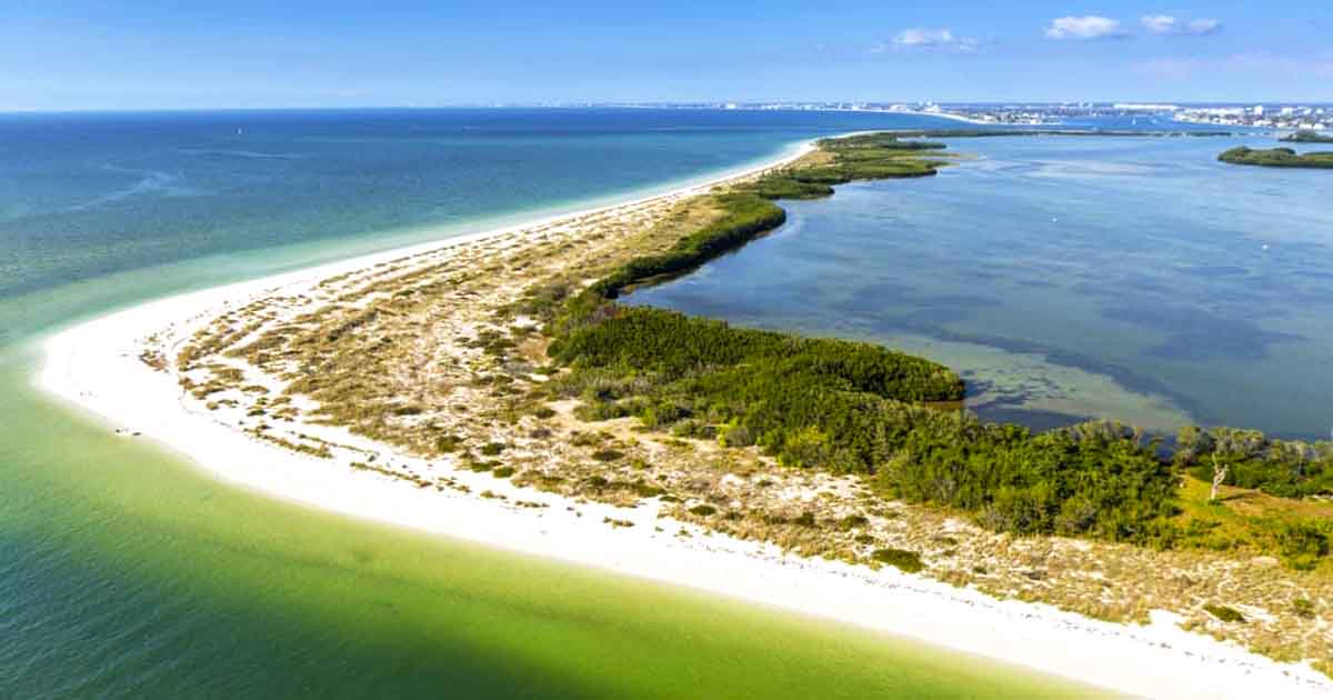 Shell Key Preserve Is Florida’s #1 Beach Destination And You'll Want To ...
