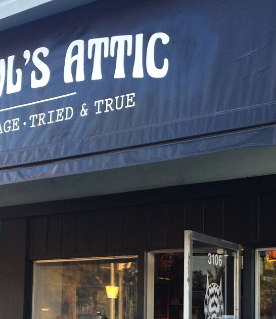 underrated thrift shop florida ftr