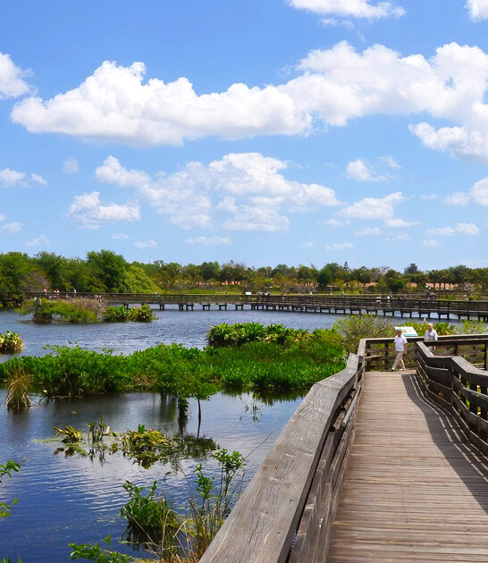 wakodahatchee wetlands loop florida ftr