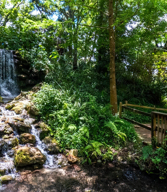 waterfalls beginner hike florida ftr