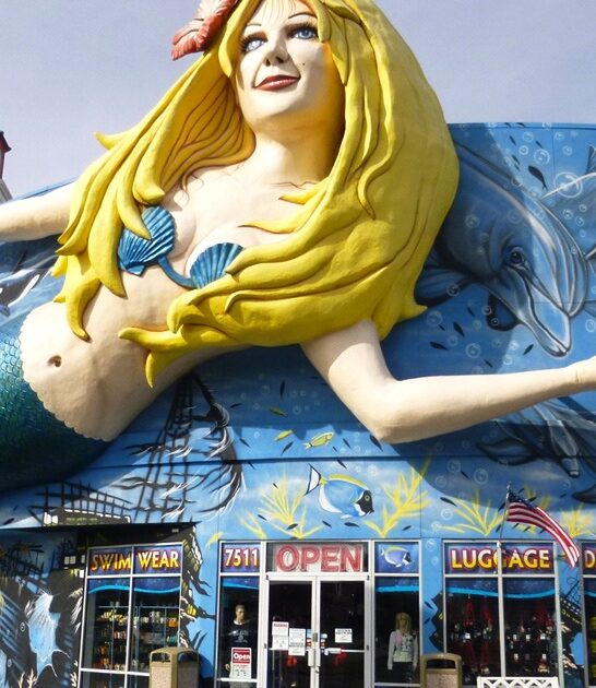 whimsical gift shop florida ftr