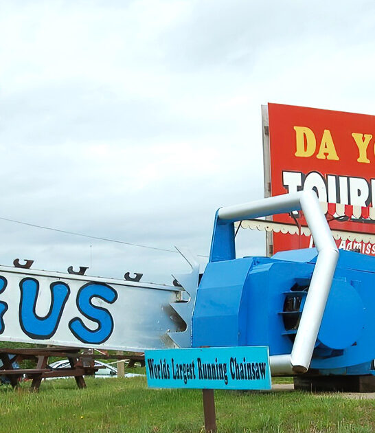 world largest chainsaw michigan ftr