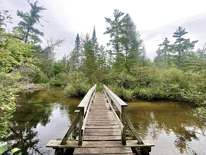 A wooden footbridge stretches across the Au Sable River, inviting adventurers into a world where time slows and worries dissolve.