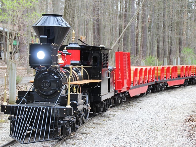 All aboard the Z.O. & O. Railroad! This miniature marvel transports visitors through Binder Park Zoo's lush landscapes with vintage charm and childlike wonder.