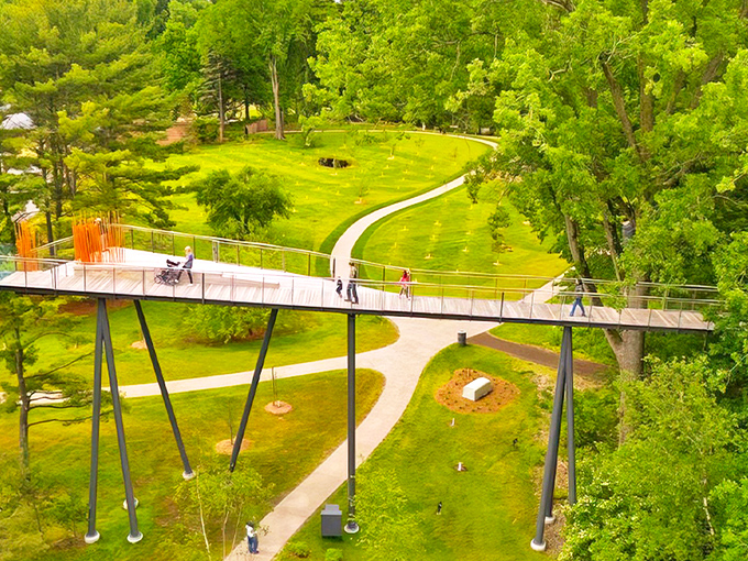 Soaring above the landscape, this elevated pathway offers visitors a bird's-eye view of Michigan's lush greenery.