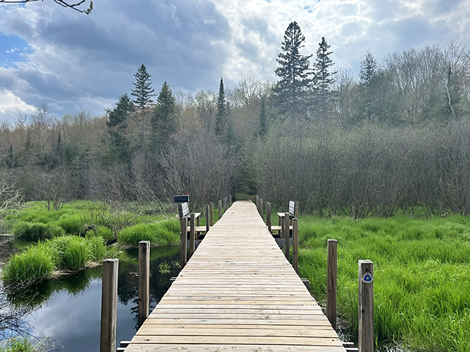 A wooden boardwalk stretches into the distance, promising adventure through wetlands where the journey to Canyon Falls begins.