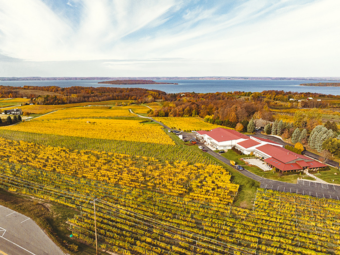 A breathtaking aerial view of Chateau Grand Traverse, where golden vineyards meet the shimmering waters of Grand Traverse Bay.