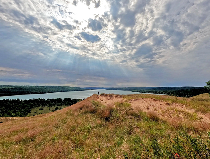Cottonwood Trail's panoramic vista unfolds like nature's IMAX screen, where Lake Michigan meets sky in a perfect blue handshake.