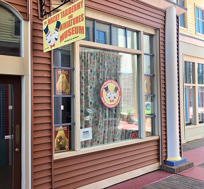 The unassuming exterior of Mackinaw City's strangest attraction beckons with promises of tiny wonders and preserved oddities inside.