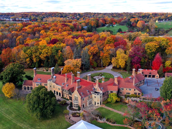 Meadow Brook Hall stands majestically amid autumn's fiery display, like a Tudor castle that took a wrong turn at Buckingham and landed in Michigan.
