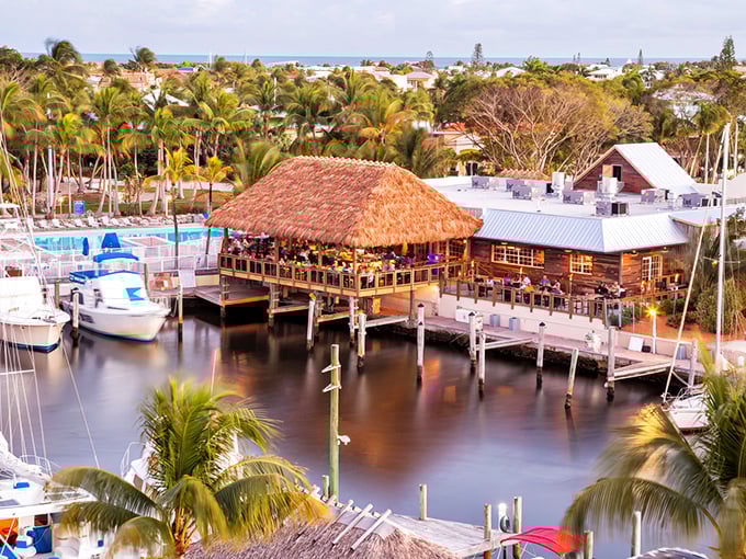 Skippers Dockside emerges like a tropical mirage, its thatched-roof tiki structure hovering over azure waters while palm trees stand sentinel against the Florida sky.