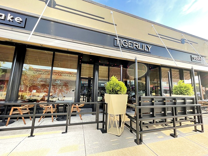 TigerLily's sleek exterior gives no hint of the tropical paradise hiding within &ndash; like Clark Kent concealing Superman.