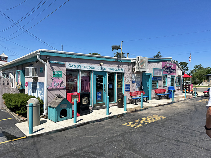 The turquoise-trimmed charm of Oink's Dutch Treat beckons from the roadside, promising sweet relief and childhood nostalgia by the scoop.