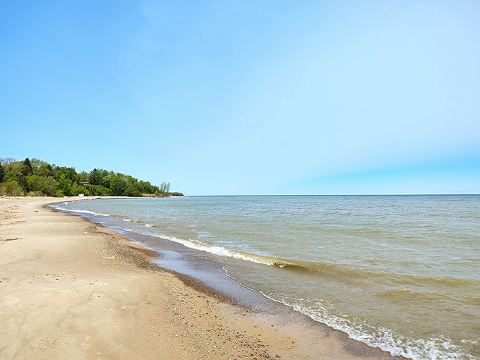 Golden sands stretch along Lake Michigan's shoreline, where gentle waves create nature's most soothing soundtrack for weary souls.
