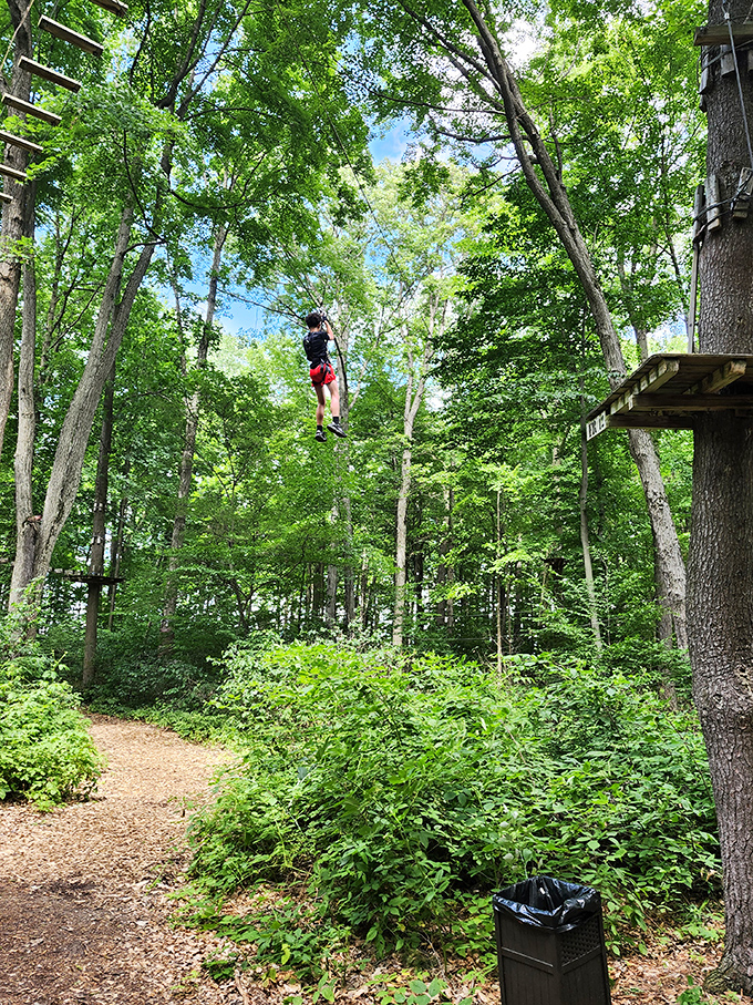 Welcome to Frankenmuth Aerial Park, where gravity becomes optional and your arm strength gets thoroughly questioned.