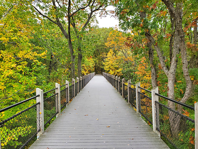 Welcome to nature's catwalk &ndash; Galien River County Park's wooden boardwalk invites visitors into a world where wilderness meets accessibility.