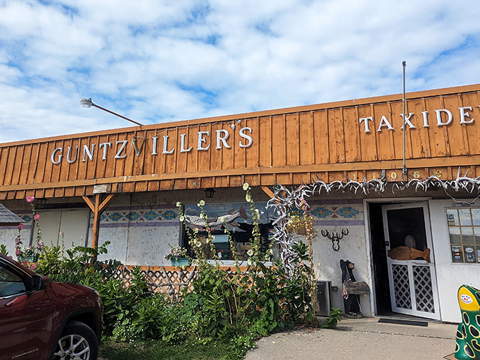 Rustic charm meets wild curiosities at Guntzviller's wooden facade – your first clue that normal was left behind miles ago.