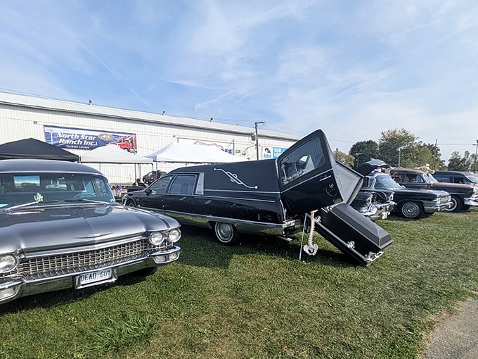 Fowlerville Family Fair: Classic cars gleam under Michigan sunshine, where vintage meets vibrant in a celebration of automotive nostalgia.