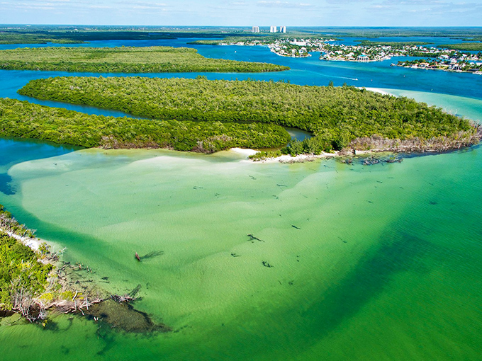 Keewaydin Island's emerald waters embrace lush mangroves like nature's perfect hug &ndash; Florida showing off without even trying.