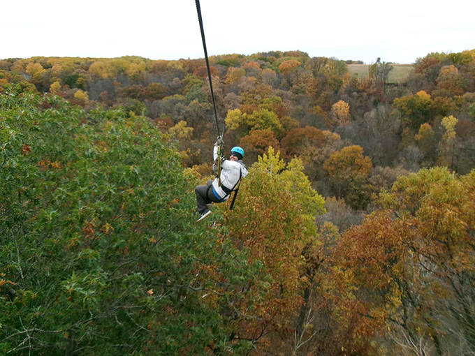 Autumn's golden canvas unfolds beneath a brave soul suspended on Kerfoot's zip line &ndash; Mother Nature showing off while humans play in her treetops.