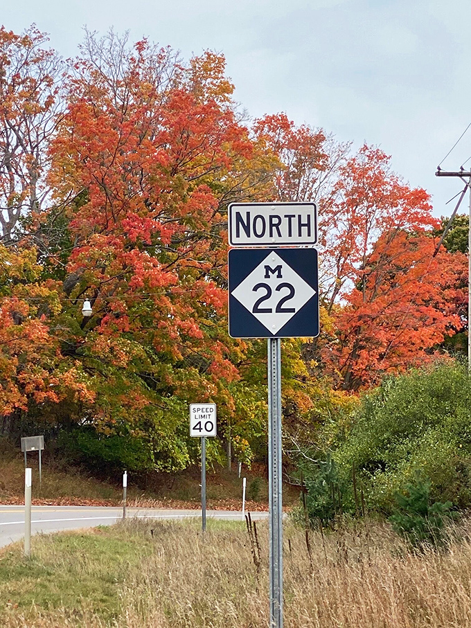 M-22 in autumn glory &ndash; where fiery maples frame the road like nature's own welcome committee. Michigan's scenic route at its most colorful.