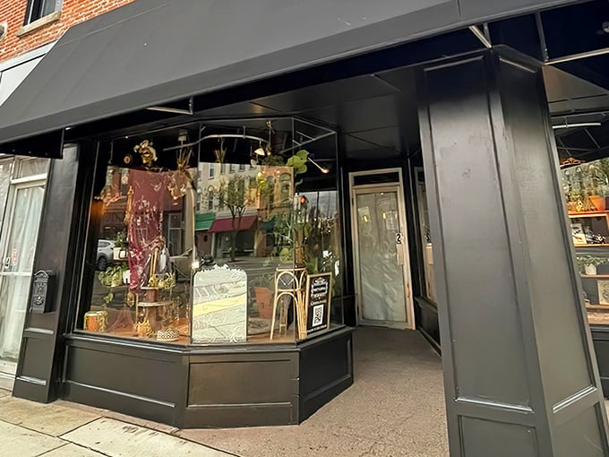 A sleek black storefront with an intriguing display window invites curious passersby into Nocturnal Monroe's mysterious world.