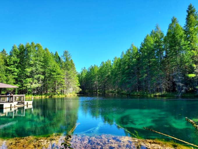 Welcome to Palms Book State Park, where Michigan hides its Caribbean-blue secret in plain sight among towering pines.