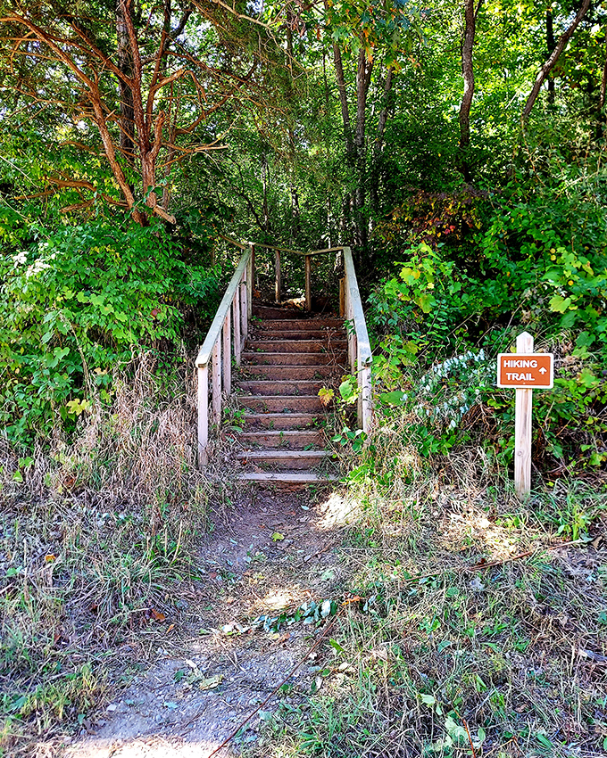 Wooden steps beckon adventurers into a verdant wonderland, nature's invitation to leave the ordinary world behind.