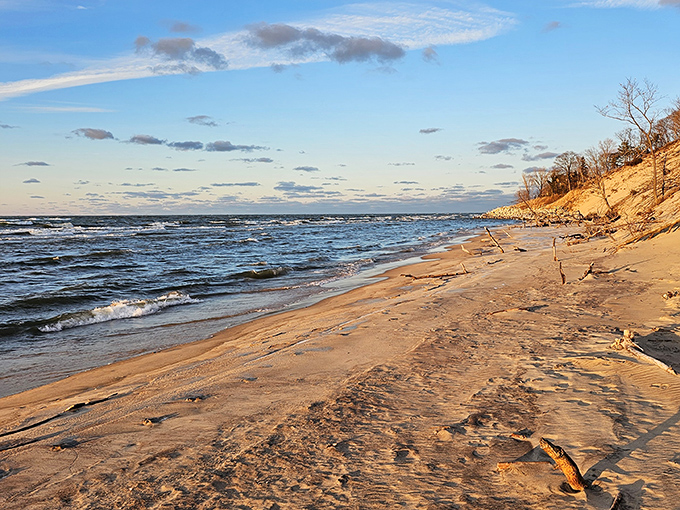 Pilgrim Haven Natural Area: Where Lake Michigan's waves craft a constantly changing gallery of natural treasures along South Haven's pristine shoreline.