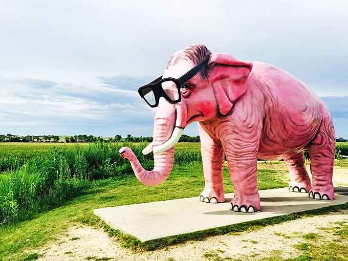 The magnificent Pink Elephant of DeForest stands proudly against Wisconsin farmland, sporting those iconic black glasses that say "I'm not just pink, I'm intellectual."