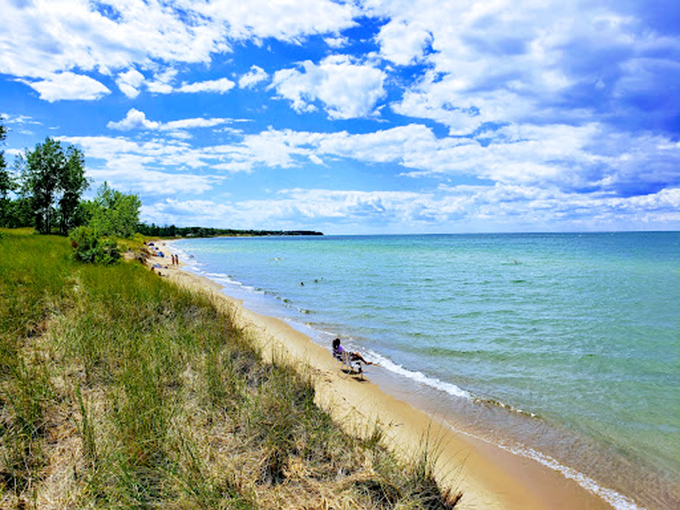 Clear skies transform Port Crescent's shoreline into nature's masterpiece, where forest meets Lake Huron in perfect harmony.