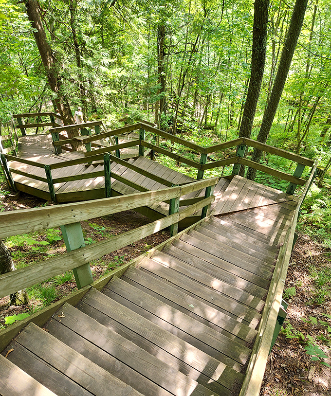 Wooden staircases zigzag through lush forest, inviting adventurers down to nature's hidden treasures. Who needs StairMaster when you've got these?